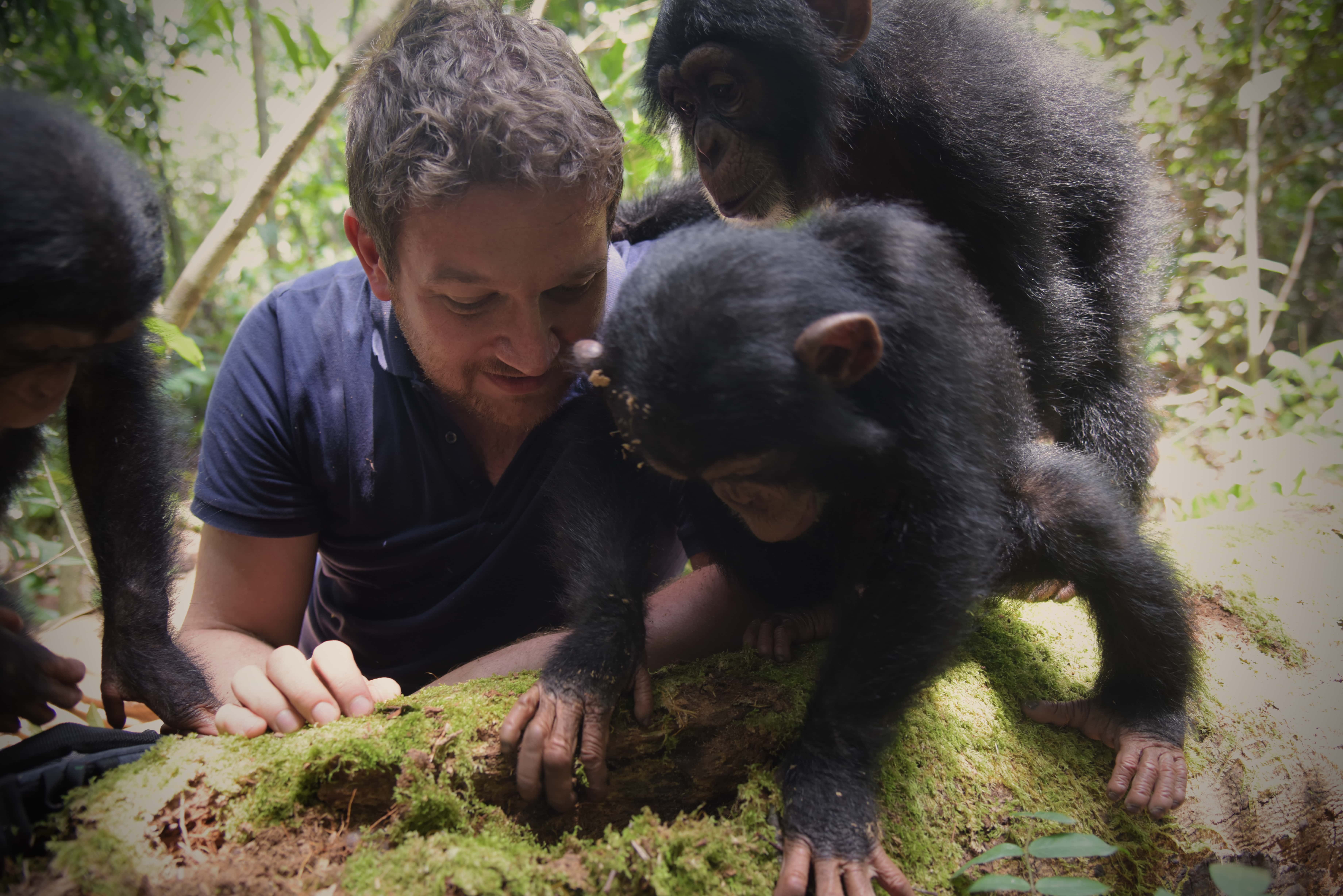 'Baby Chimp Rescue' Review: Heartening tale of chimps being saved and a ...